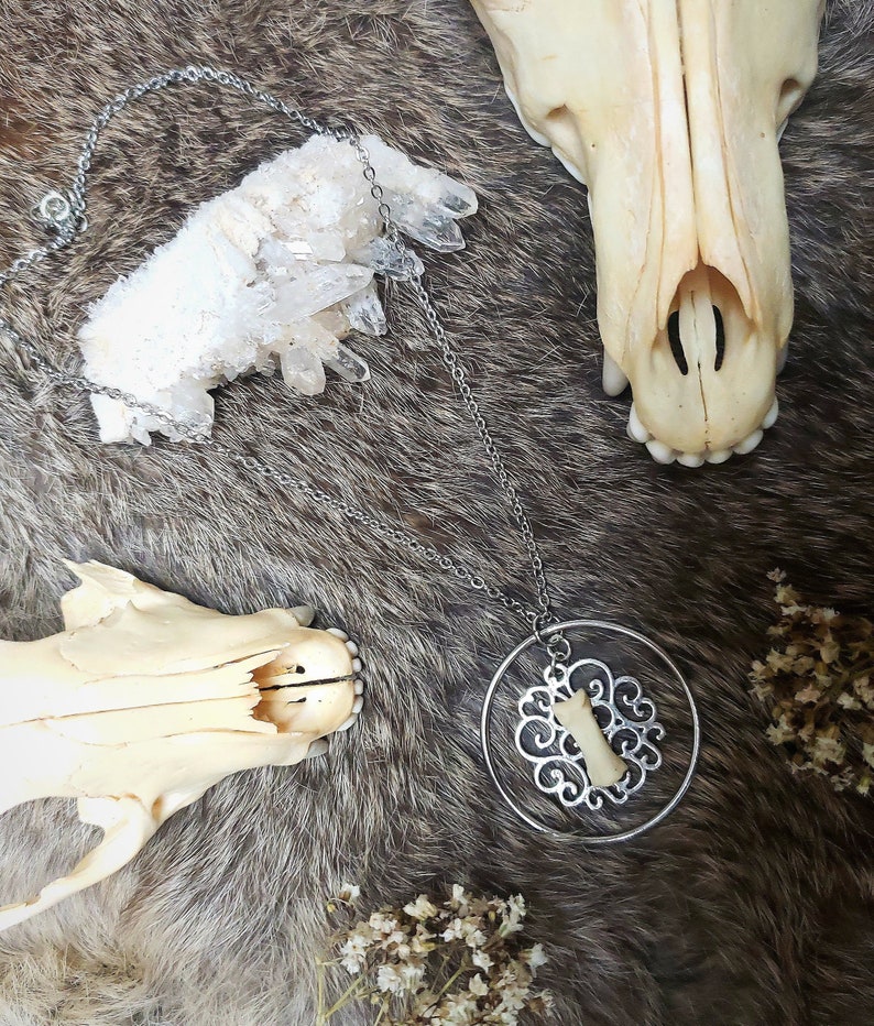 REAL Coyote Toe Bone Necklace | Etsy