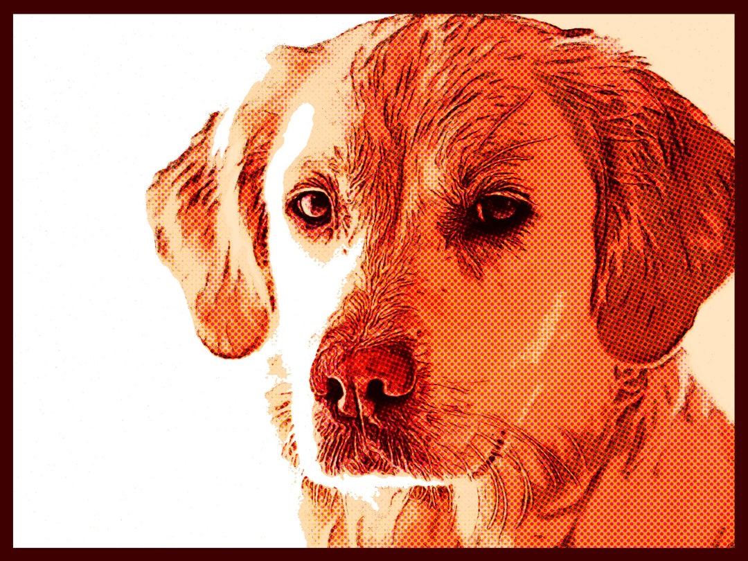 Dog Wall Art Modern Dog Art Canvas Wall Art Dog Art Pop Art Dog Lovers ...