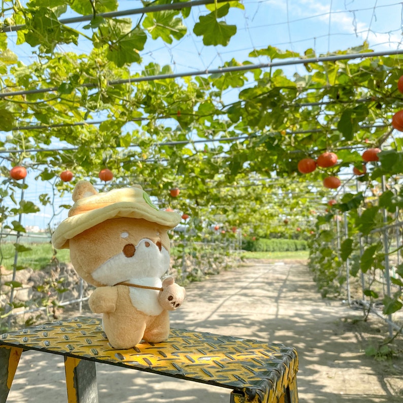 Max the Explorer Plush Kawaii Fox Dog Plush Plush Toy Stuffed Animal - Etsy