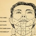 Straight Razor Face Shave Diagram From 1866 the Barbers Manual by A.B ...