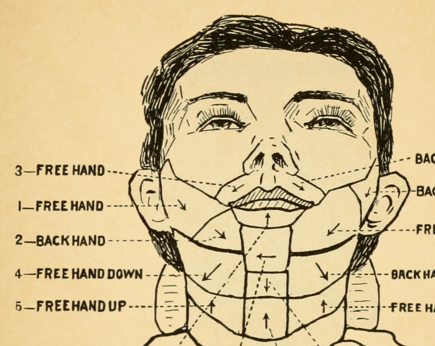 Straight Razor Face Shave Diagram From 1866 the Barbers Manual | Etsy UK