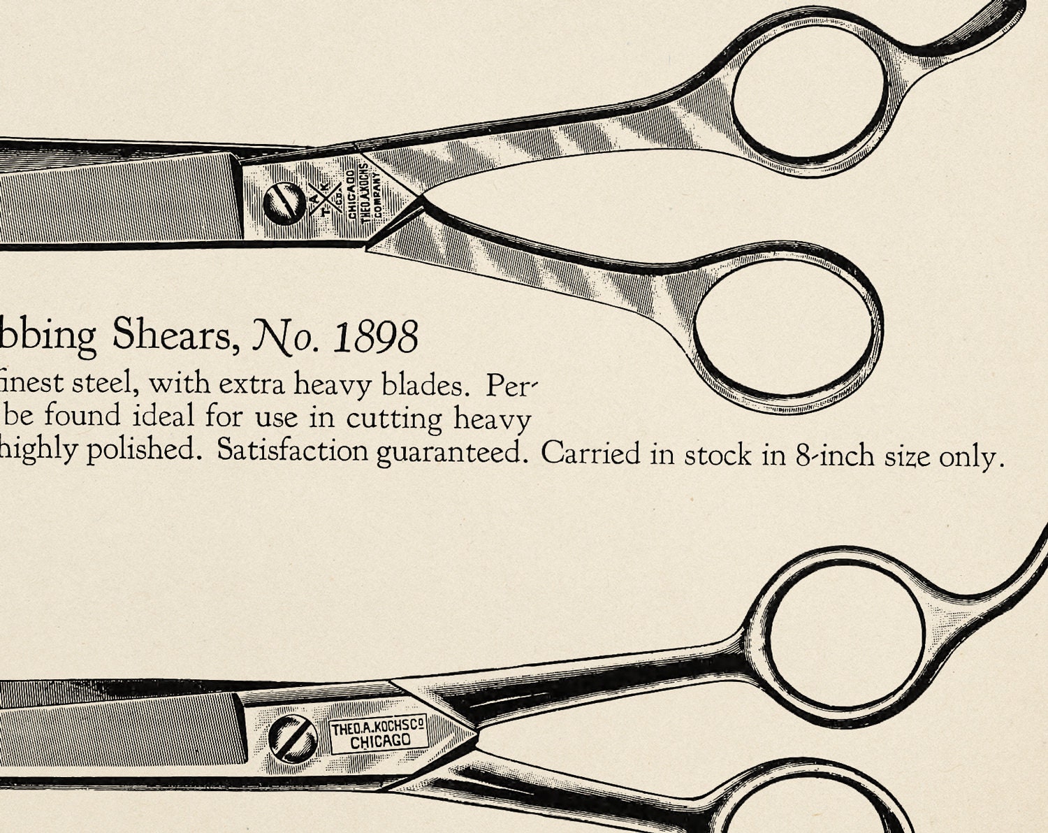 Early 1900s Hairdressing Scissors Reproduction Print From a - Etsy