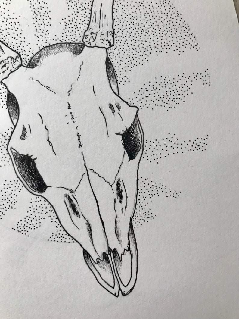 Deer Skull Pen Drawing - Etsy