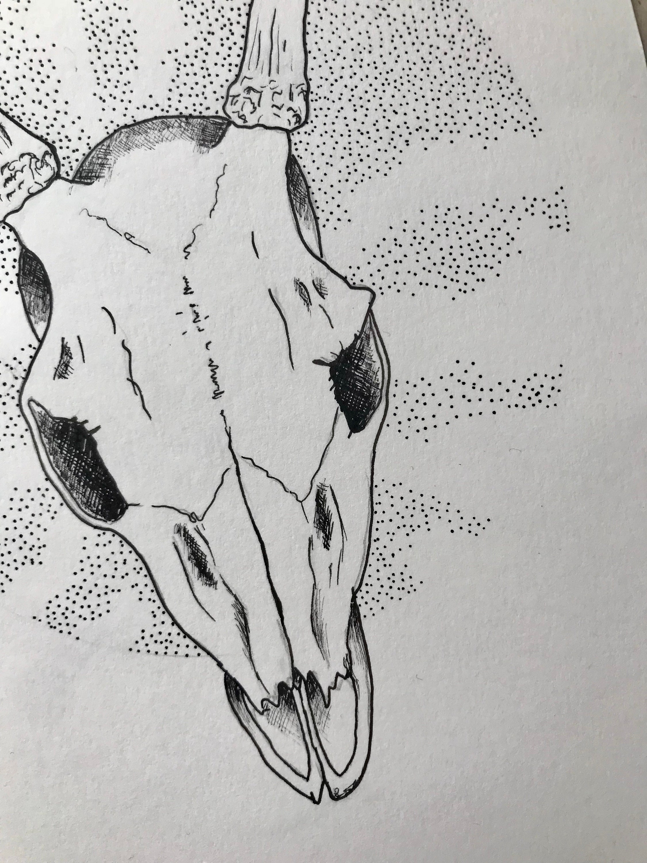 Deer Skull Pen Drawing - Etsy