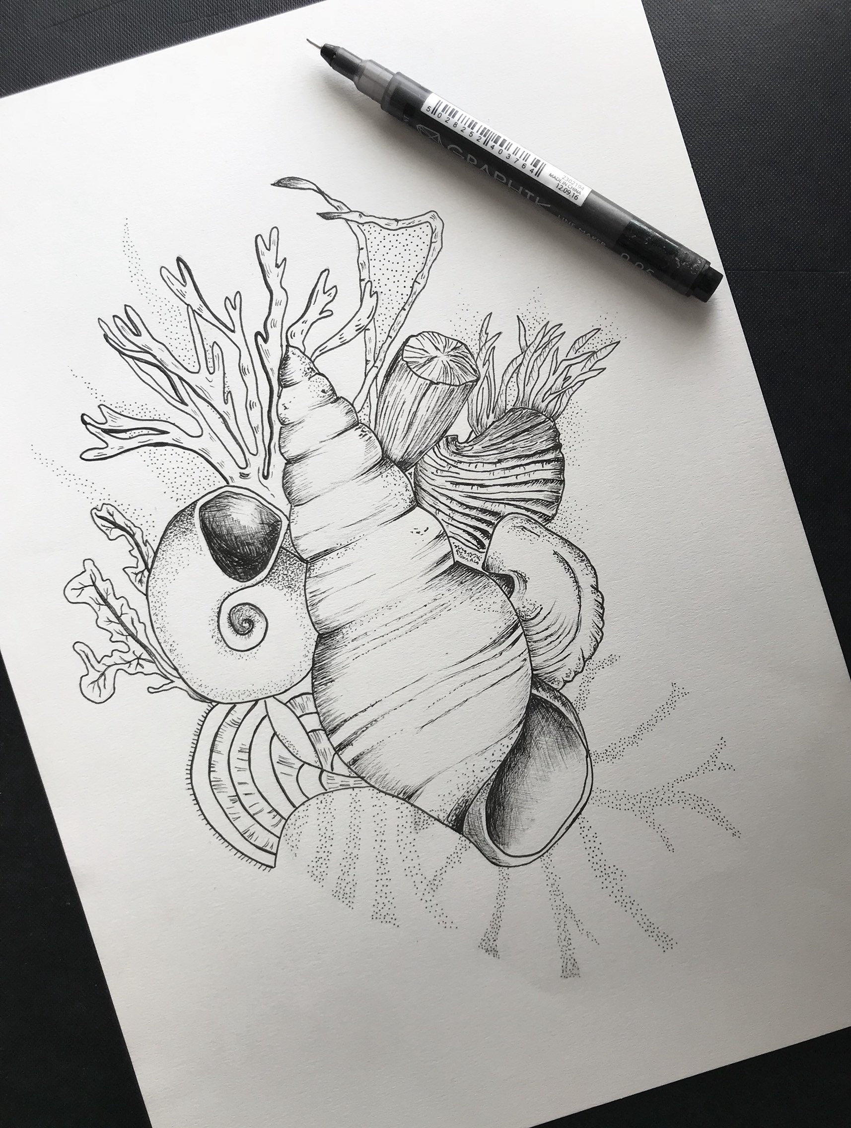 Shells and Sea Plants Pen Drawing - Etsy