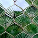 JAPANESE GREEN FAN Tiles - Etsy