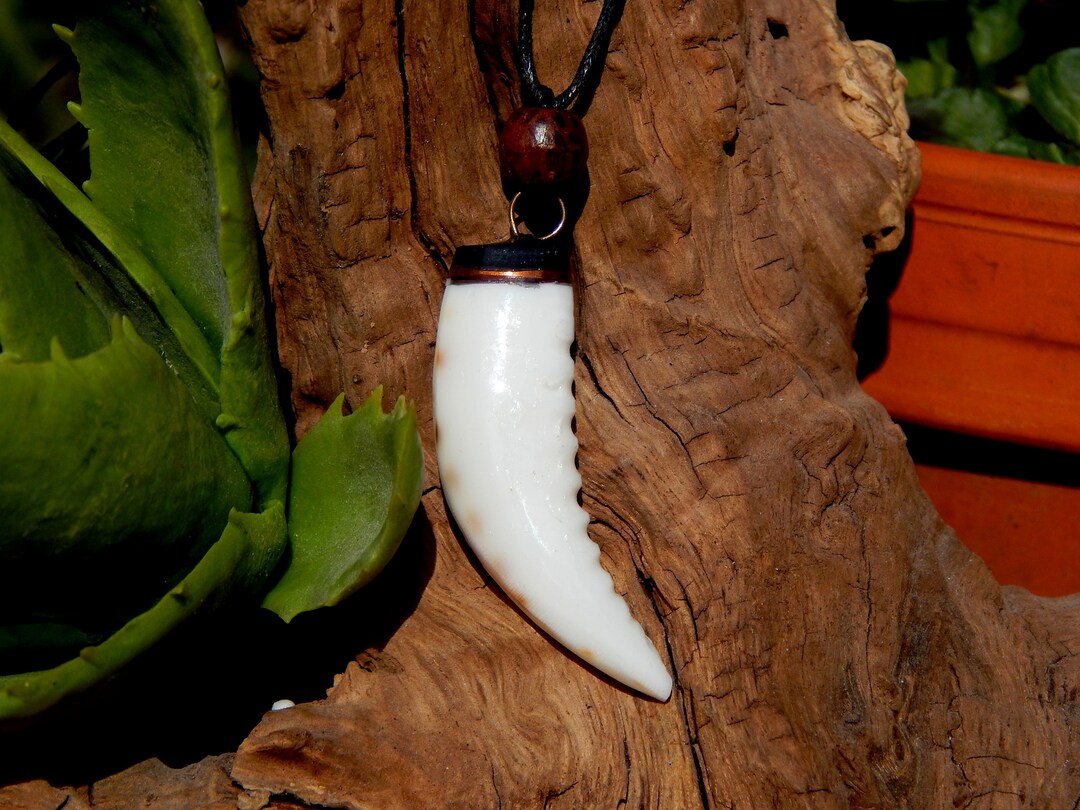 Surfer Chain With a Big Tooth - Etsy