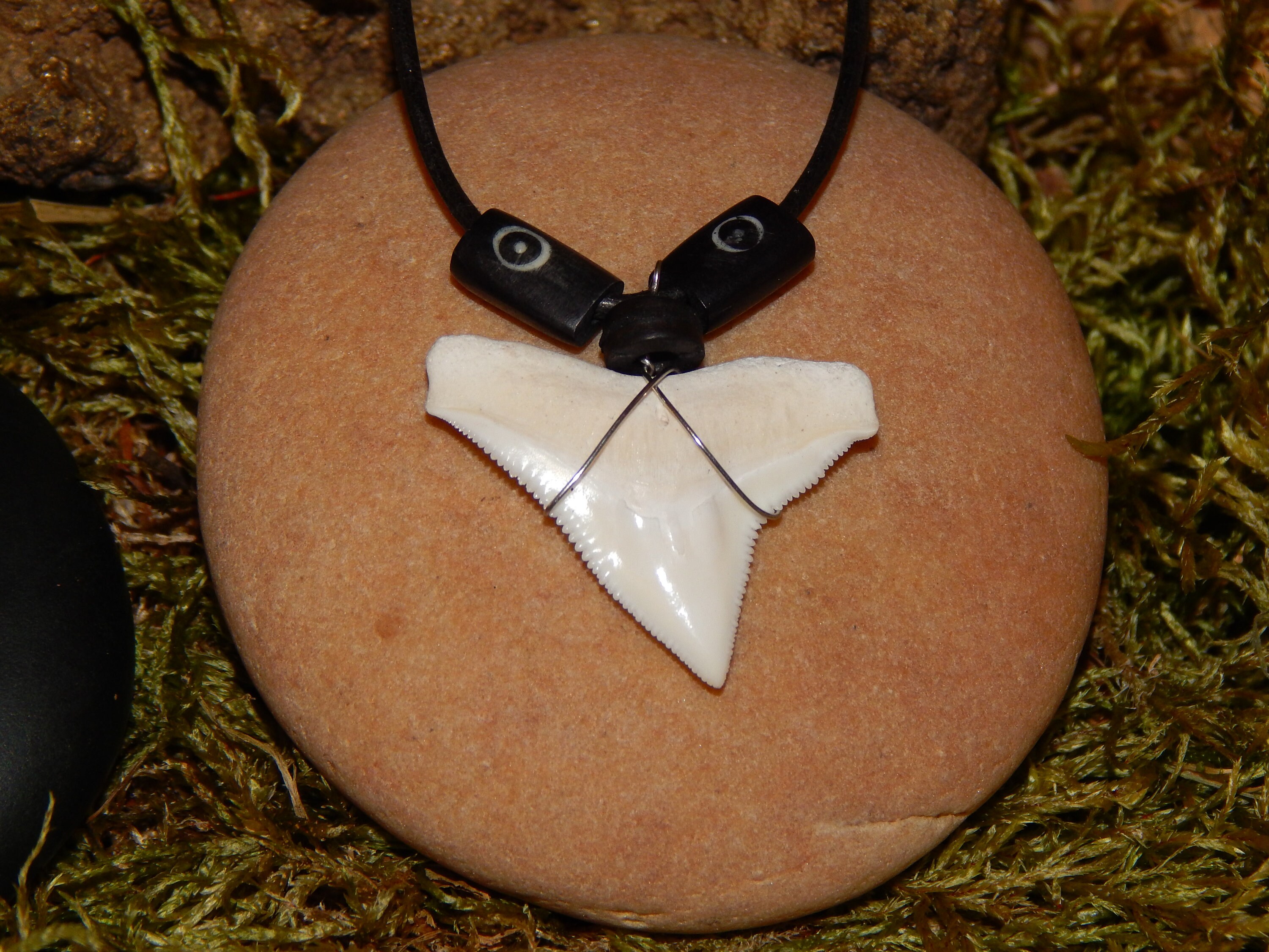 Echte grote haaientand hoogwaardige leren ketting met | Etsy