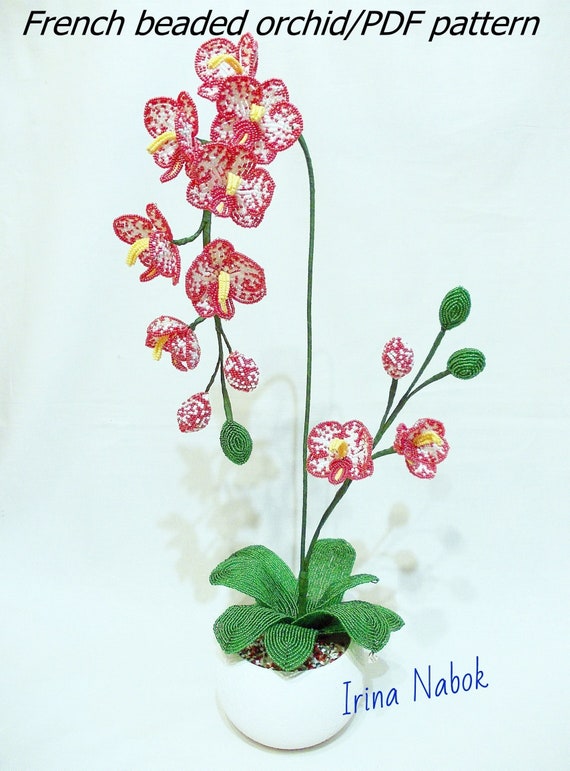 Beaded Orchid Pattern Orchid Creation Scheme Orchid Pdf | Etsy