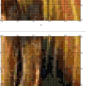 Maxi Large Saze Peacocks Goldytapestry/ Embroidery Pattern for Your ...