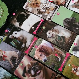 The Pawesome Dog Oracle Deck, Oracle Cards - Etsy