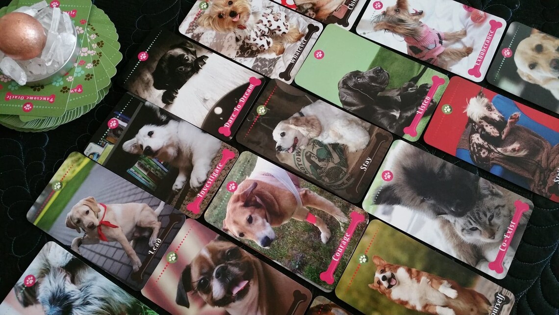 The Pawesome Dog Oracle Deck, Oracle Cards - Etsy