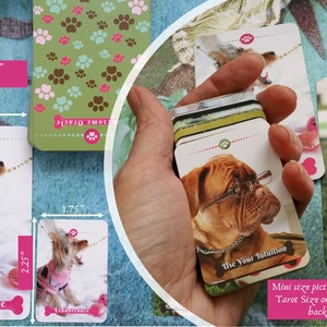 The Pawesome Dog Oracle Deck, Oracle Cards - Etsy