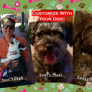 The Pawesome Dog Oracle Deck, Oracle Cards - Etsy
