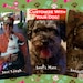 The Pawesome Dog Oracle Deck, Oracle Cards - Etsy