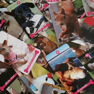 The Pawesome Dog Oracle Deck, Oracle Cards - Etsy