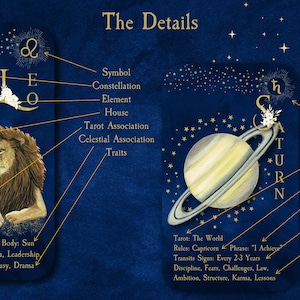 Celestial Fortune, Astrology Oracle Deck, Tarot Size Oracle Cards ...