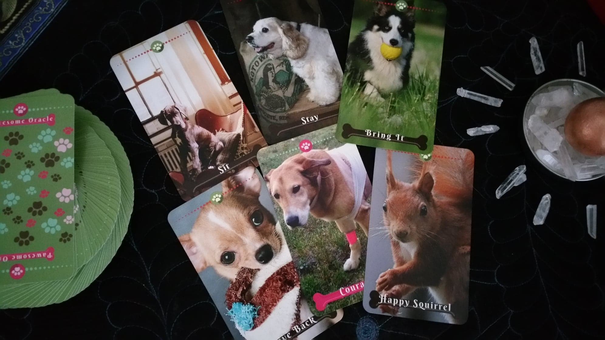 The Pawesome Dog Oracle Deck, Oracle Cards - Etsy
