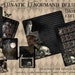 Lunatic Lenormand Deluxe Kit, Includes, Mini Size Lenormand Deck, Grand ...