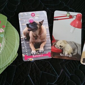 The Pawesome Dog Oracle Deck, Oracle Cards - Etsy
