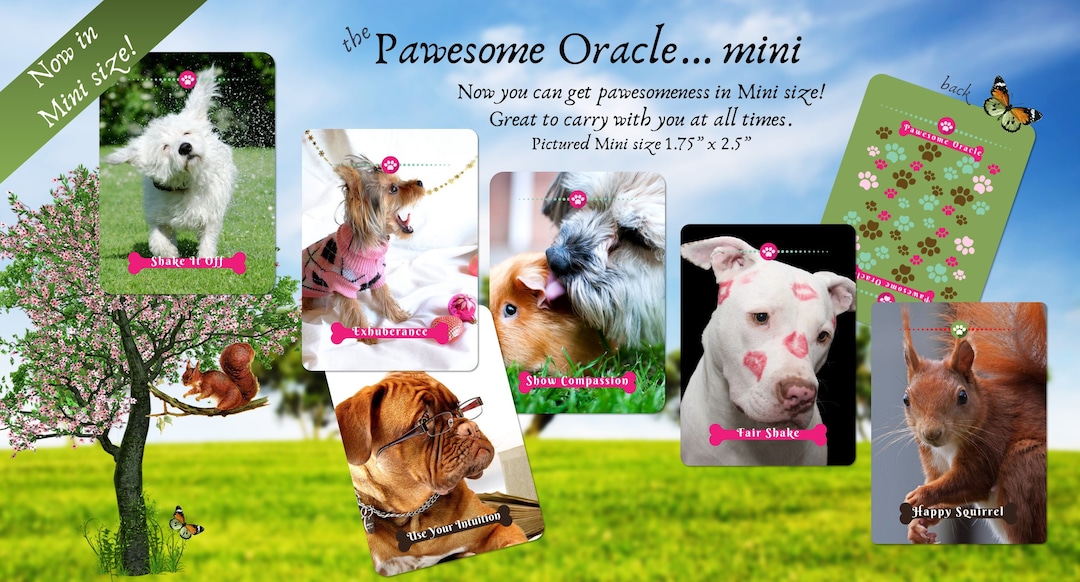 The Pawesome Dog Oracle Deck, Oracle Cards - Etsy