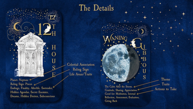 Celestial Fortune Astrology Oracle Deck Tarot Size Oracle - Etsy