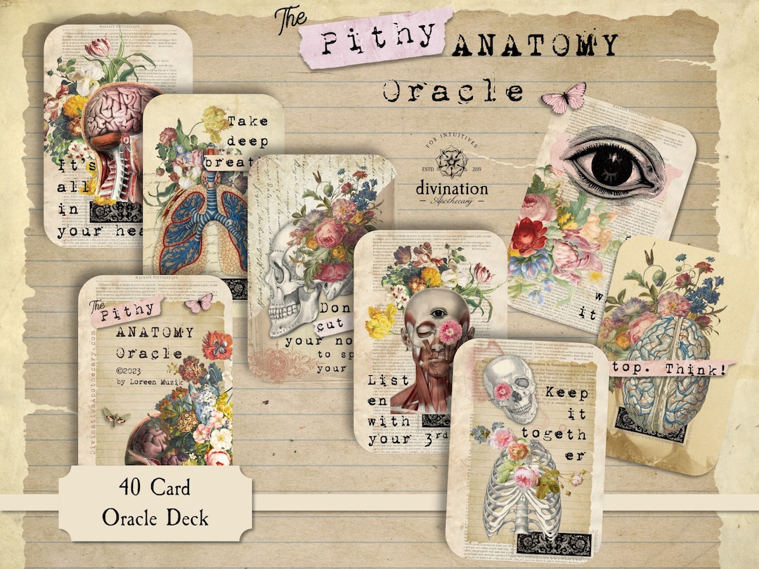 The Pithy Anatomy Oracle Deck, Beautiful Oracles Cards for Divination ...