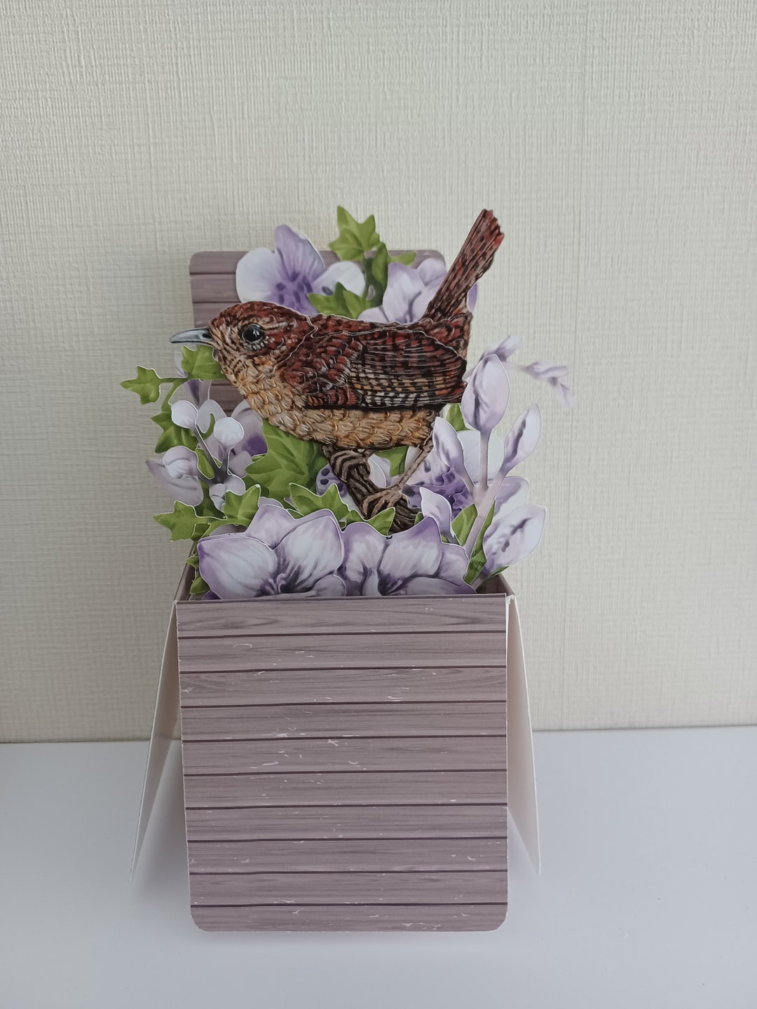 Wren British Bird Pop up Box Card Unique Card Birthday - Etsy