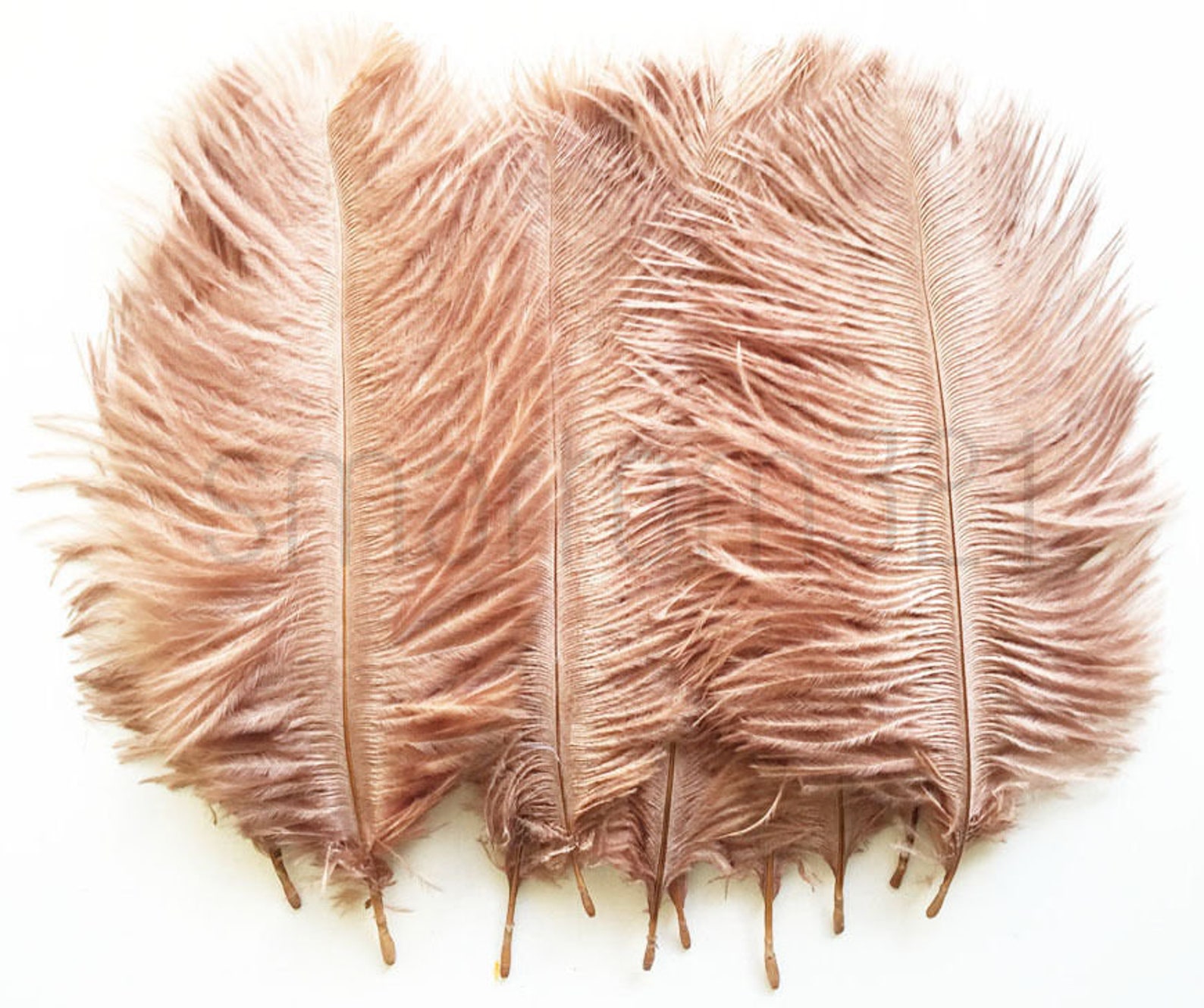 10x 5"-7" Pastel Colours Ostrich Feathers Wedding Costume Party Craft ...