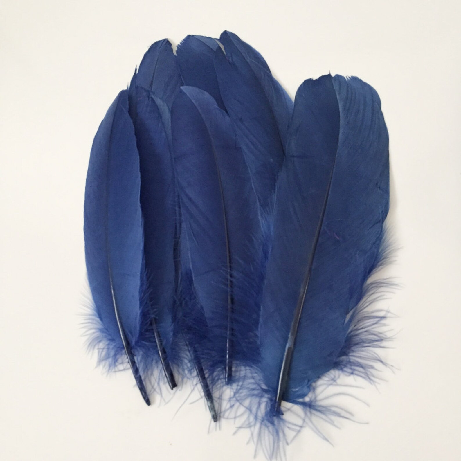 10 X 4''-8'' Dyed Goose Feathers Costume Party Favour Craft Wedding Hat ...