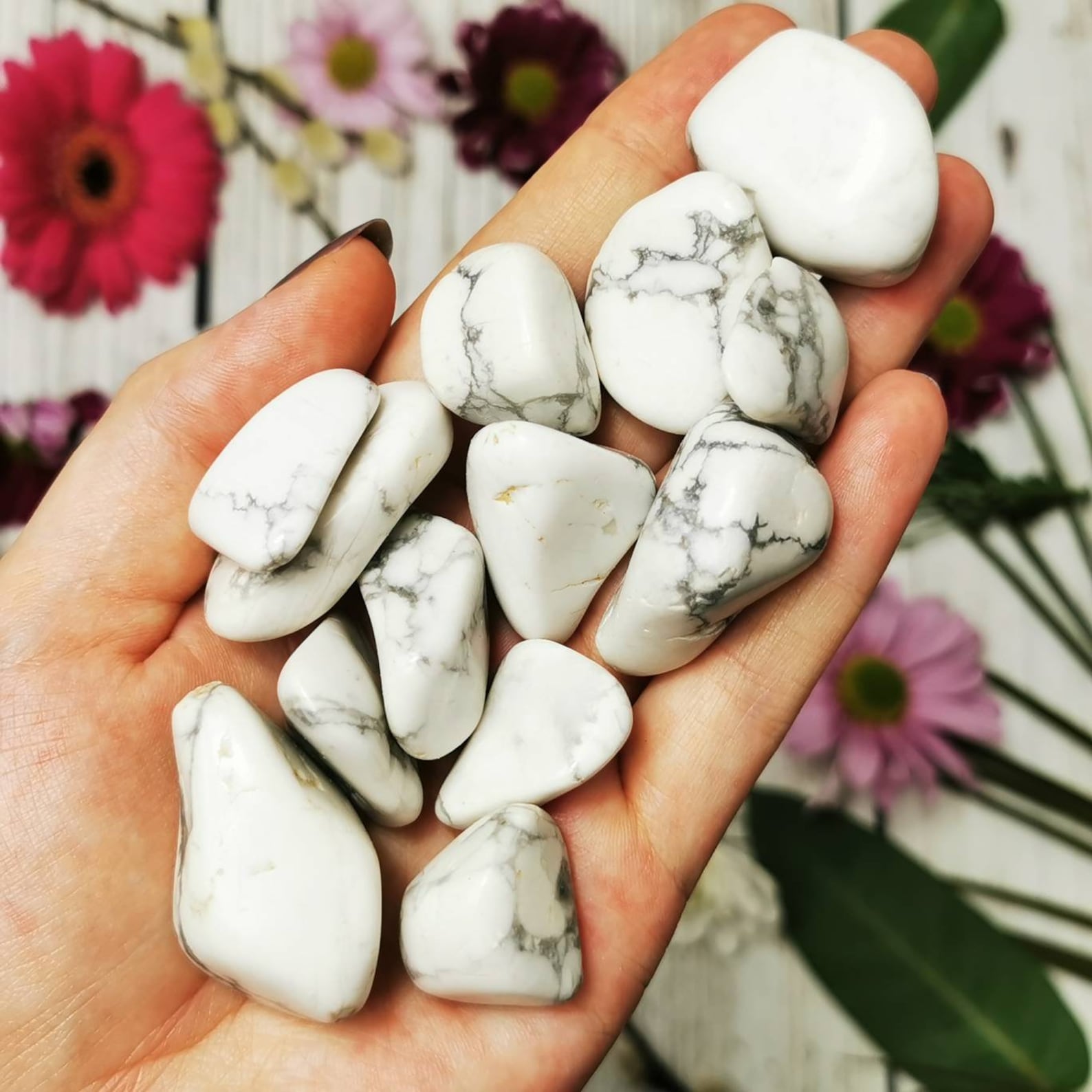 Howlite Crystals Tumbled White Howlite Natural Howlite | Etsy