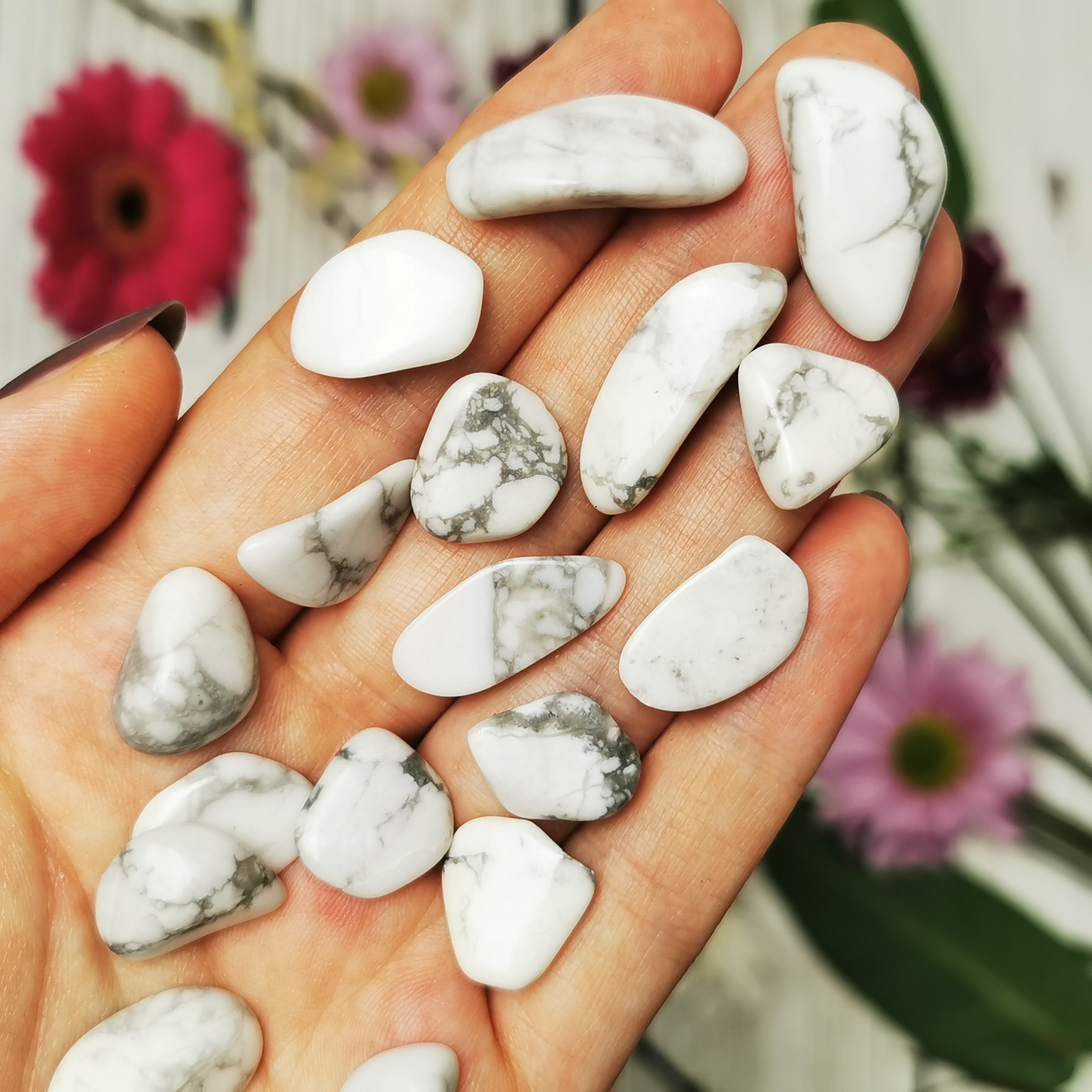 10 x Mini Howlite Crystals Tumbled White Howlite Natural | Etsy