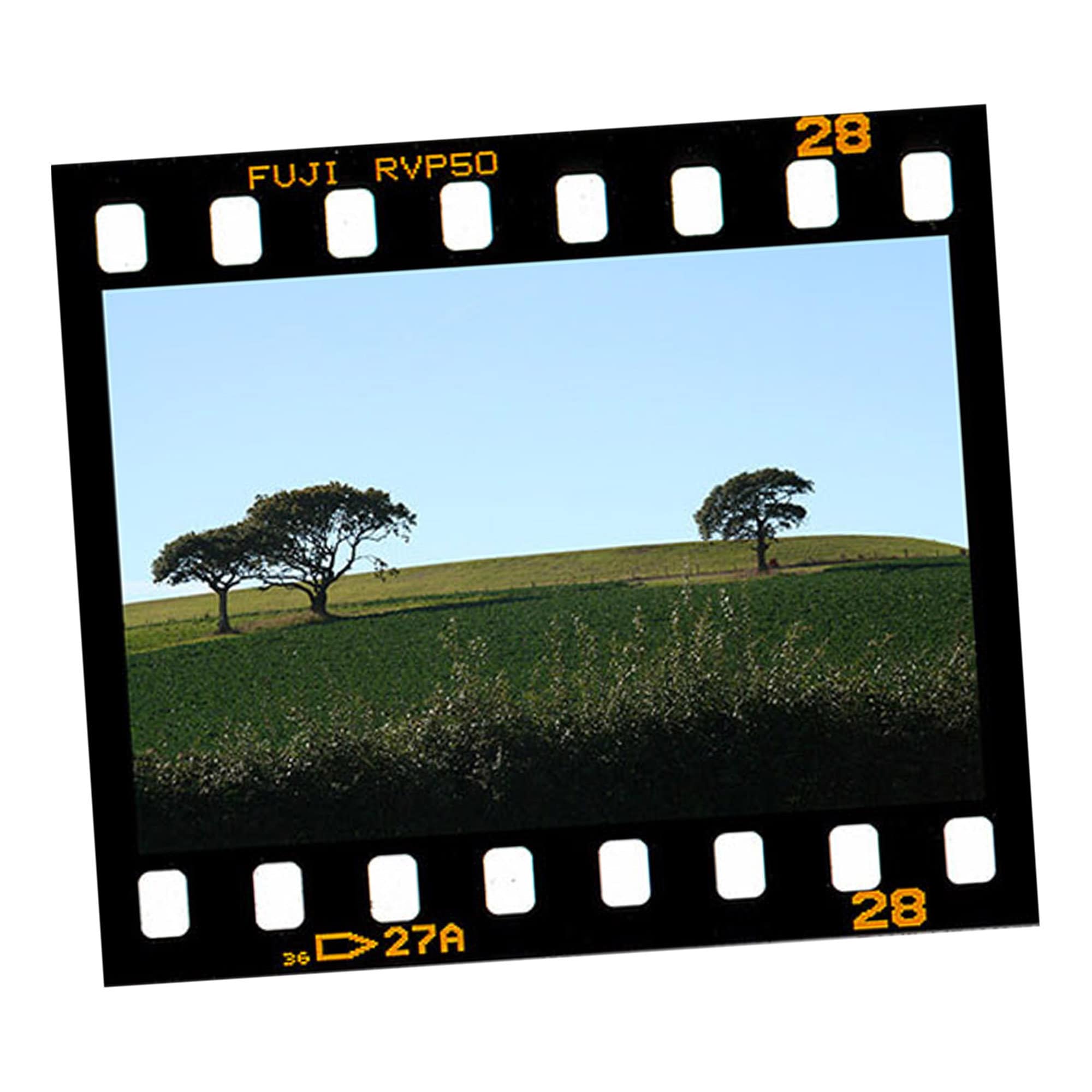 Custom Slides / Film Strips Colour Personalised From Digital Images ...