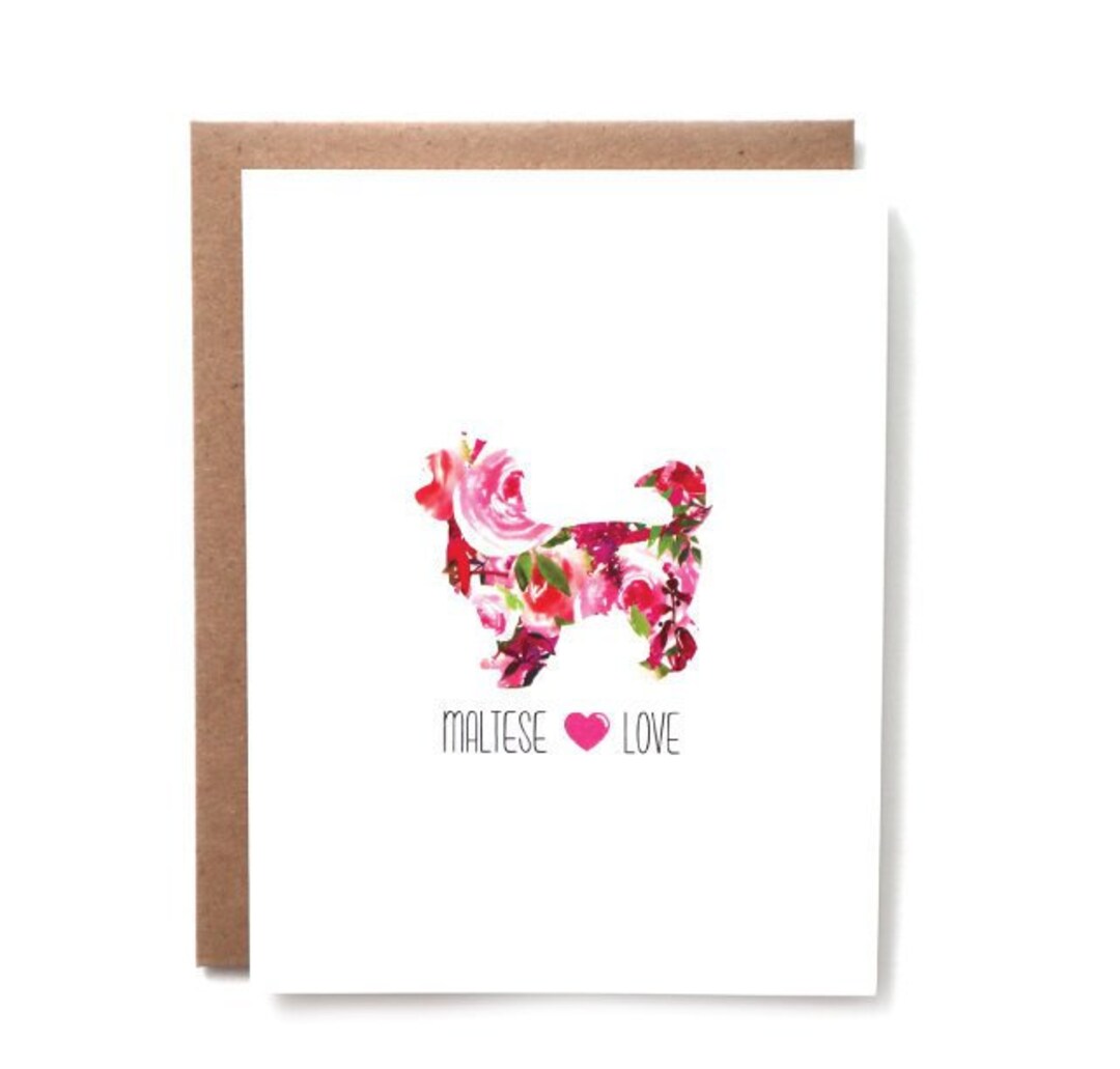 Maltese Cards, Maltese, Dog Cards, Greeting Cards, Dogs, Stationery ...
