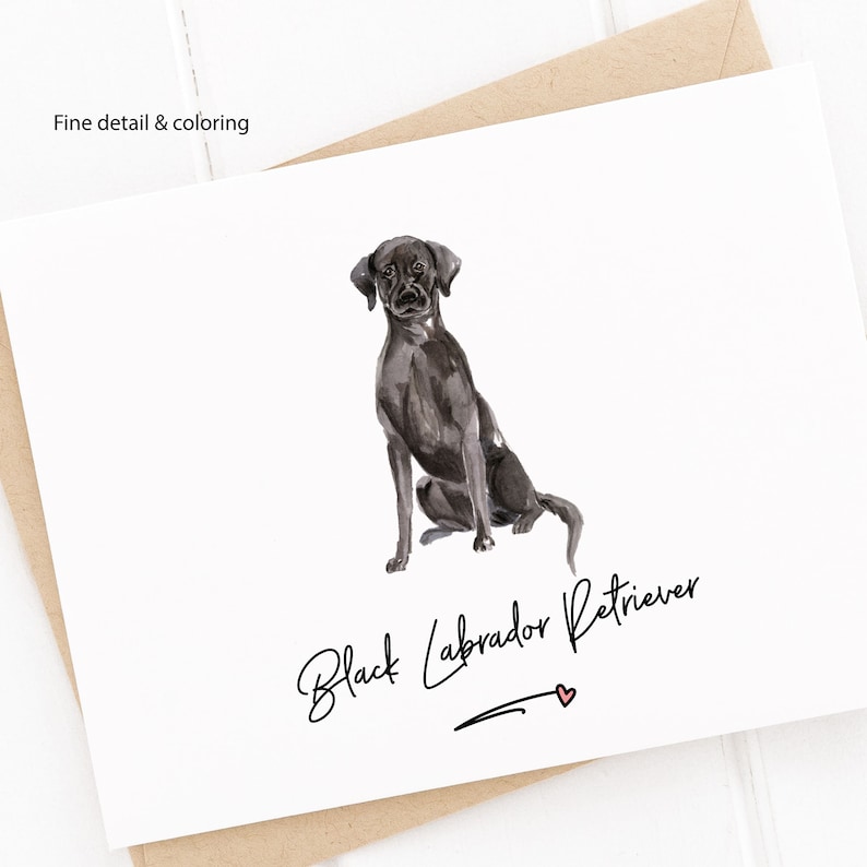 Black Labrador Cards, Black Lab, Labrador, Labrador Retriever, Dog Note ...