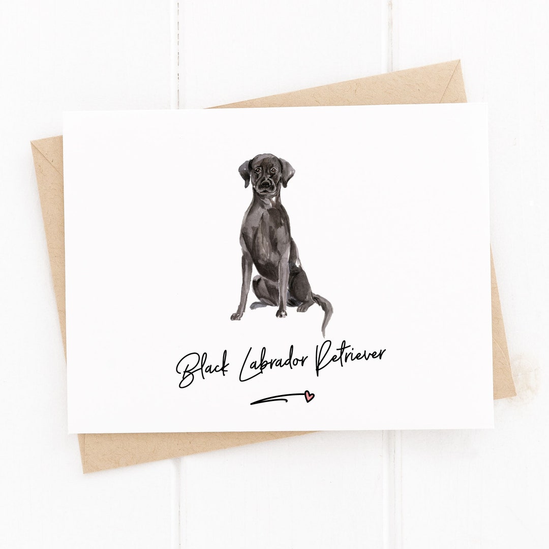 Black Labrador Cards, Black Lab, Labrador, Labrador Retriever, Dog Note ...