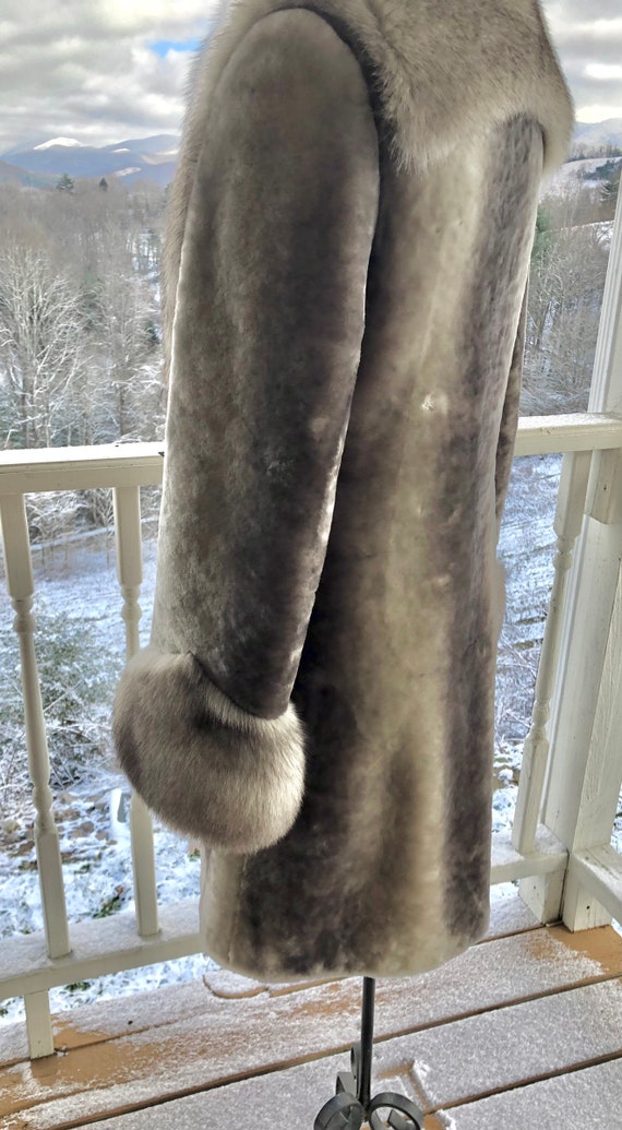 Stunning!! Sheared RUSSIAN LAMB with FOX Collar and C… - Gem