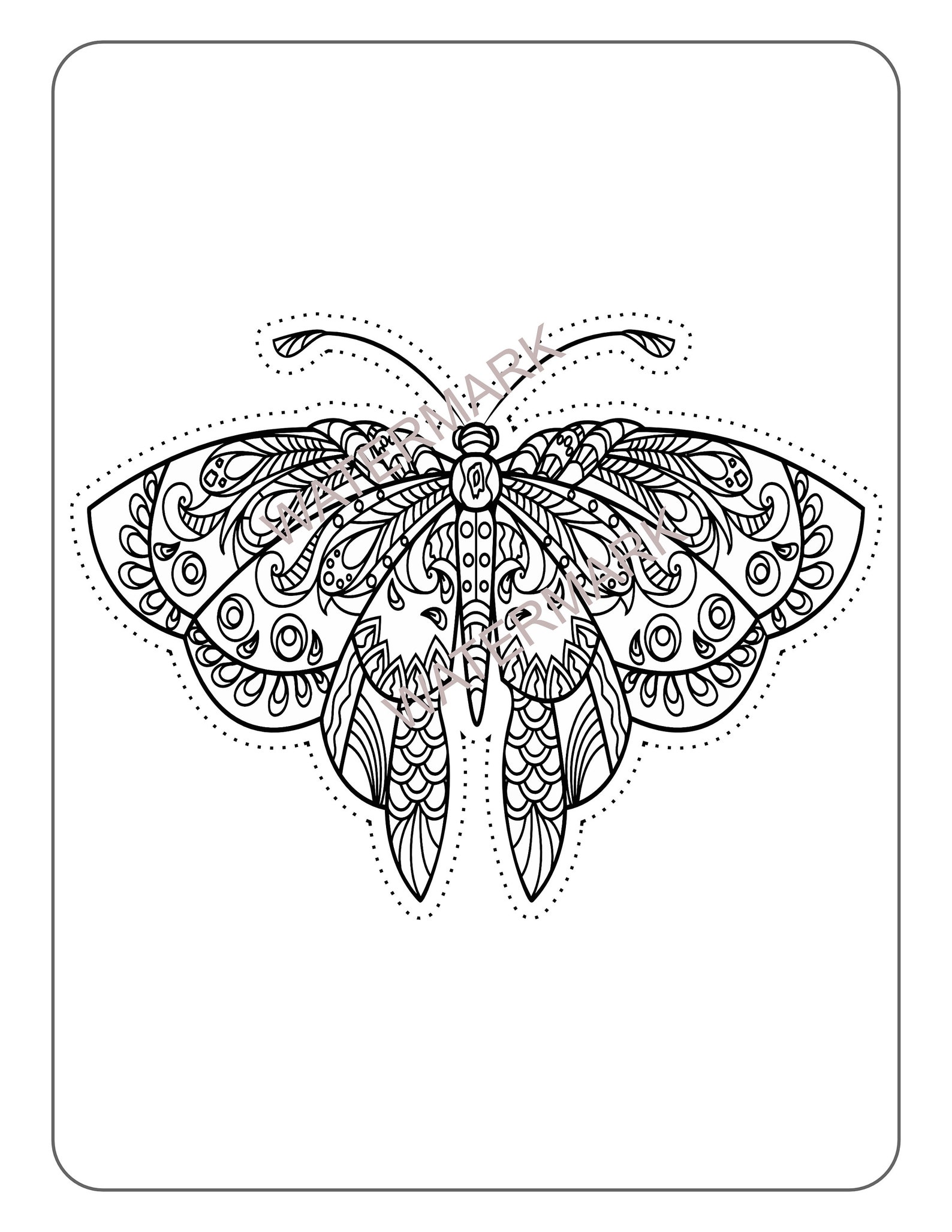 20 Beautiful Zentangle Butterfly Coloring Pages Digital And Etsy