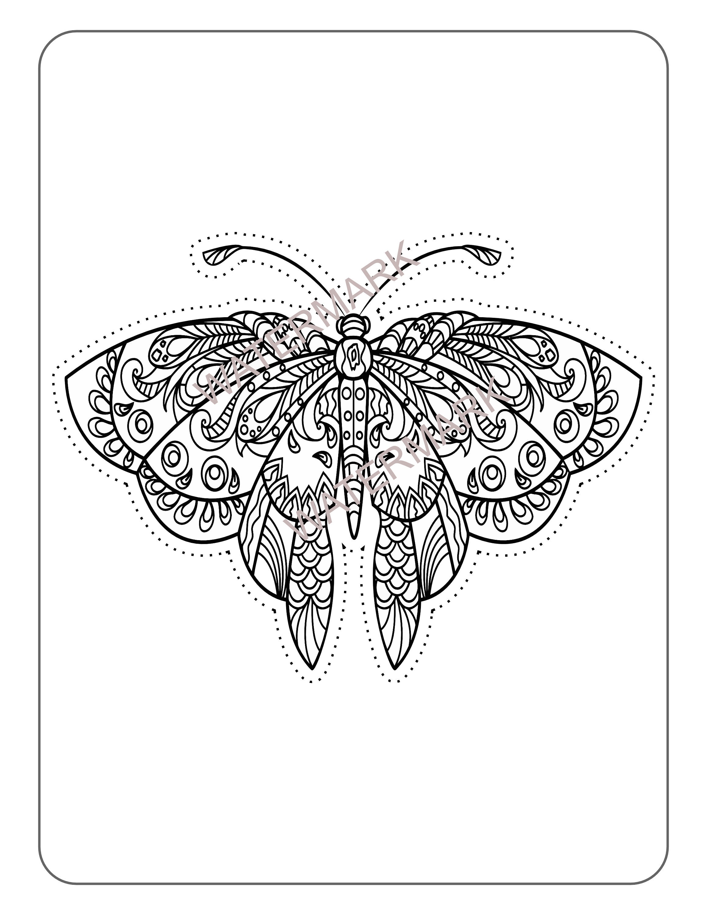 20 Beautiful Zentangle Butterfly Coloring Pages Digital And | Etsy