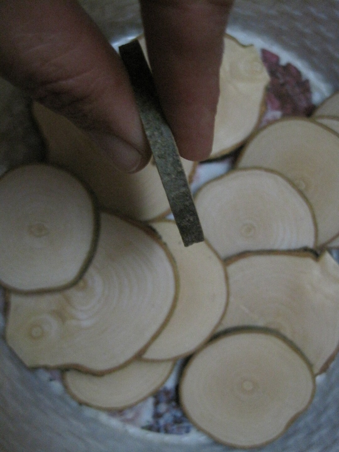 15 X Wooden Discs 0.5 Branch Discs Tree Discs Ash Craft - Etsy