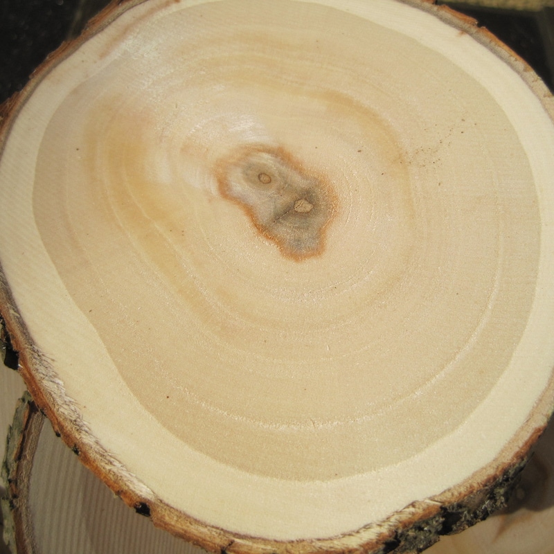 Baumscheibe - Etsy.de