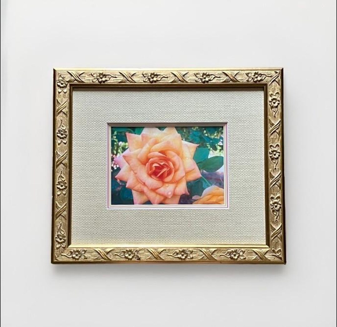 VTG Framed Lithograph Print Art, Rosa 'nancy Reagan' Rose - Etsy