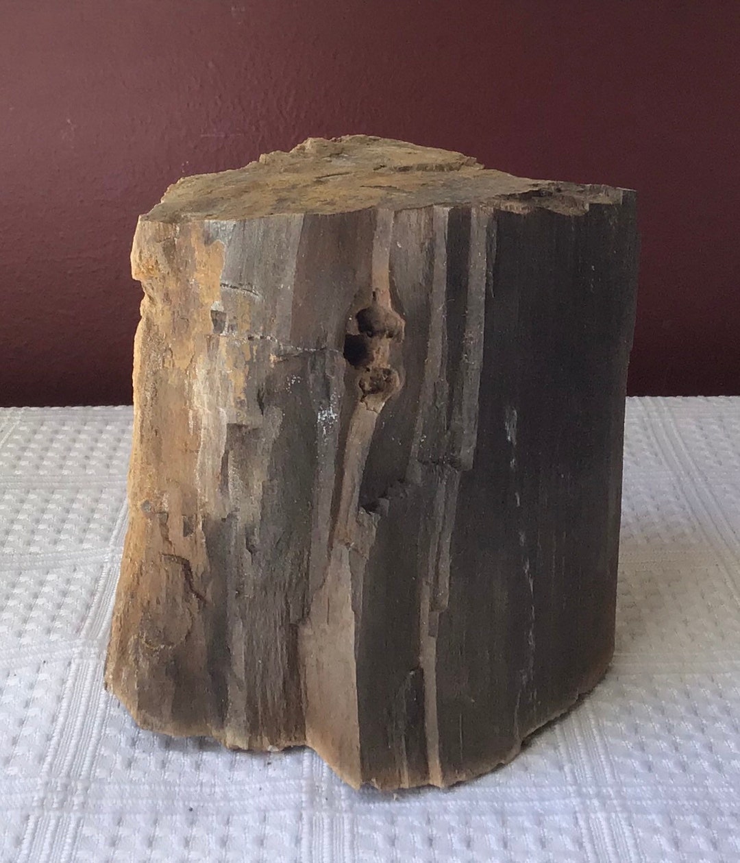Petrified Wood, About 895 Grams - Etsy