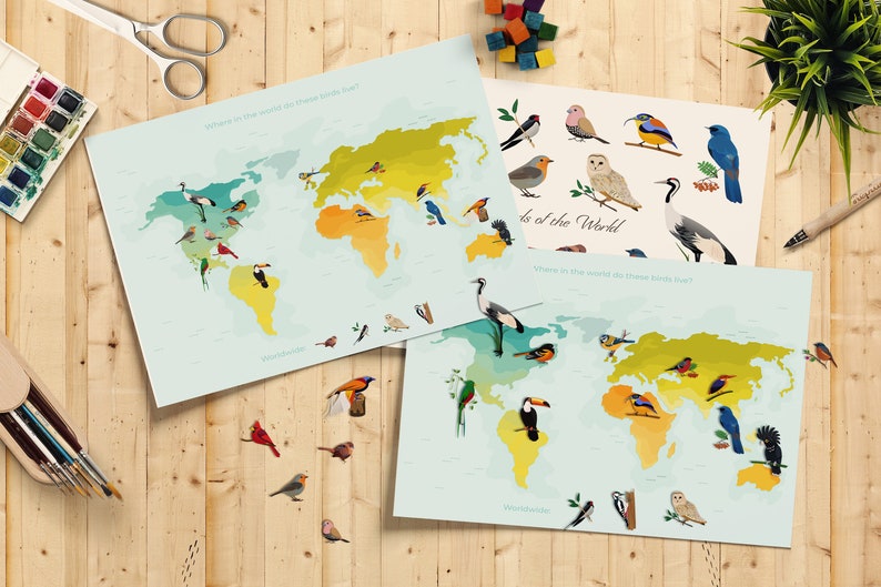 Birds of the World | Bird Identification | Birds on a World Map | Avian ...