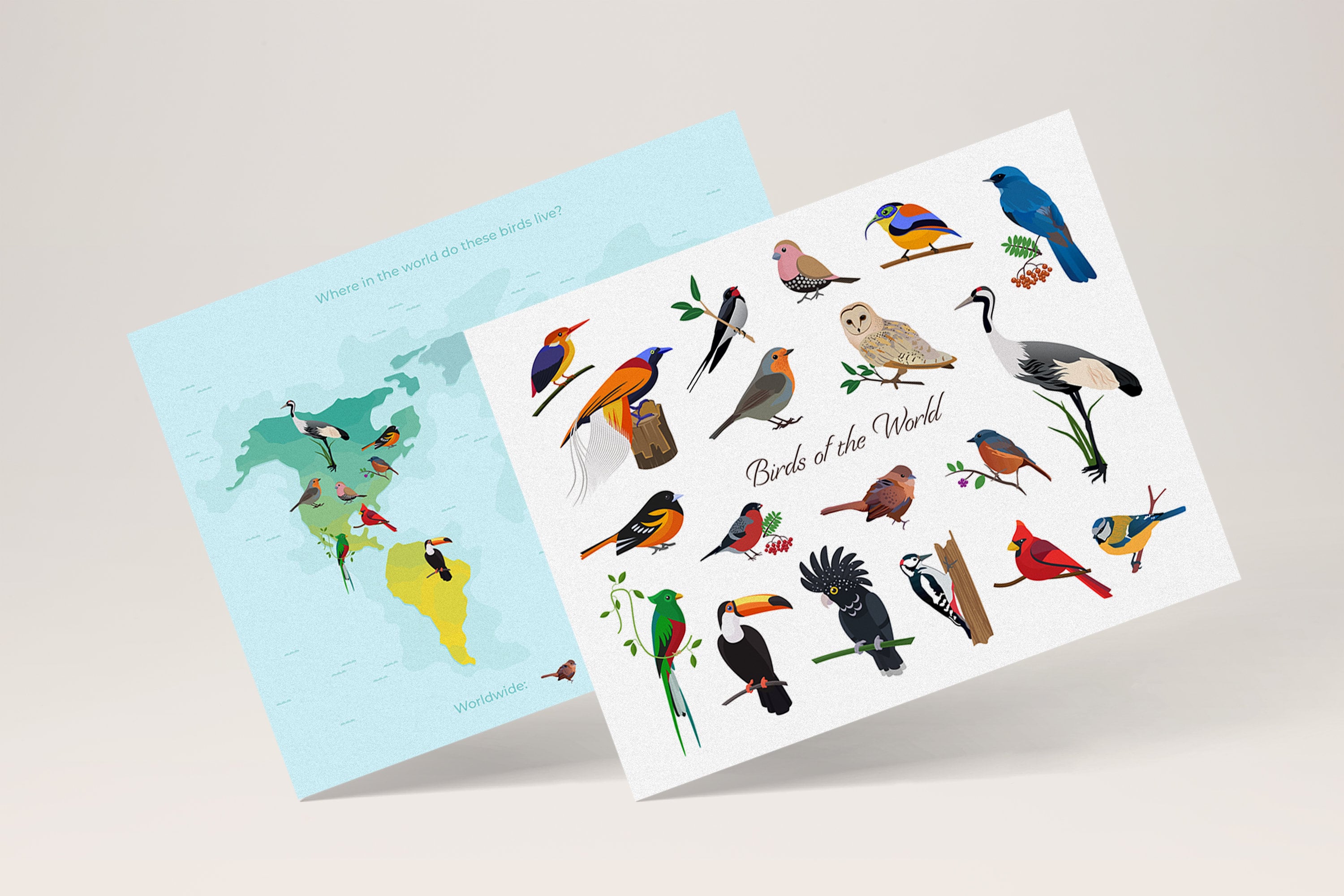 Birds of the World | Bird Identification | Birds on a World Map | Avian ...