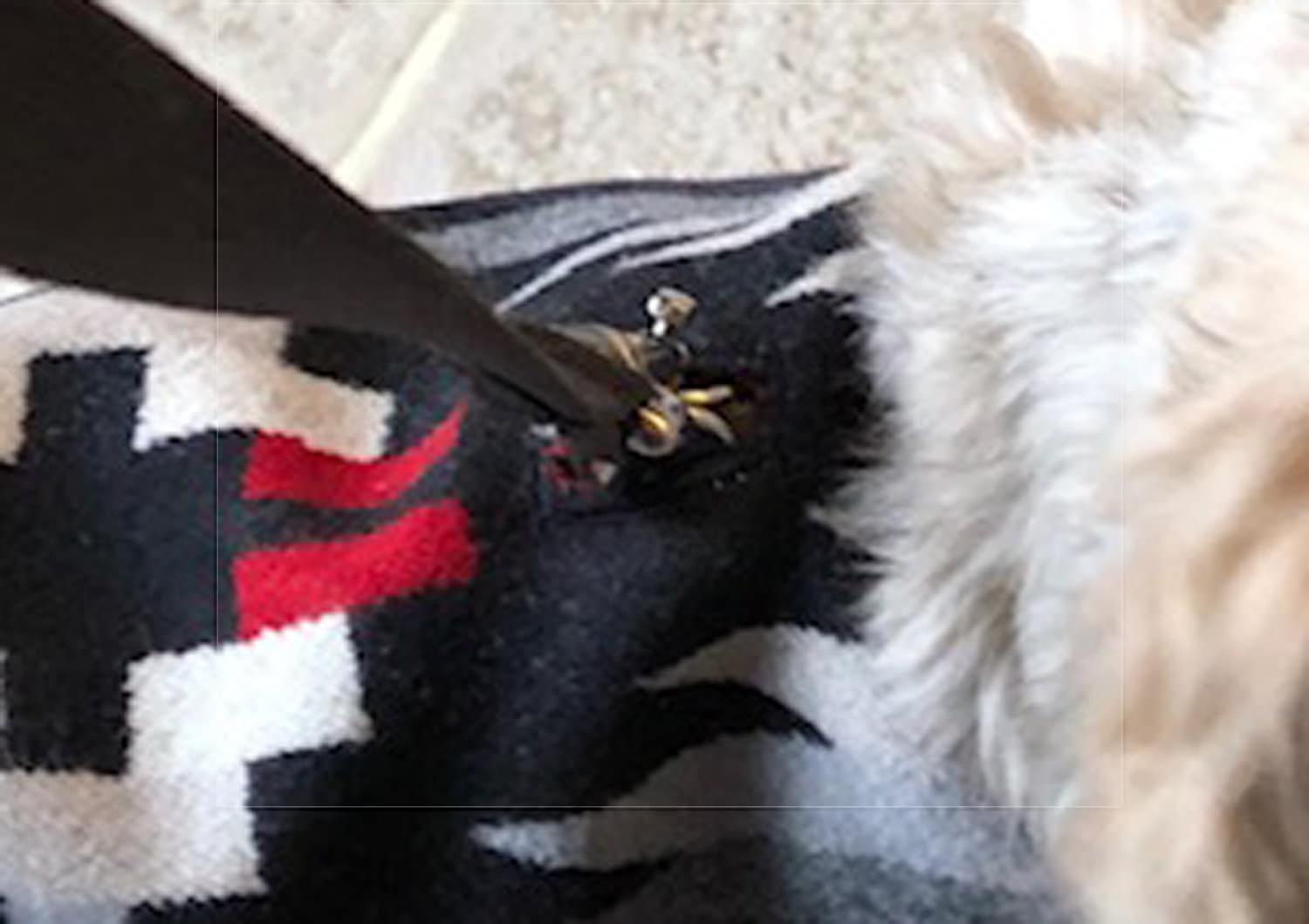 Red & Black Pendleton Wool Dog Coat - Featuring Exclusive D-ring ...