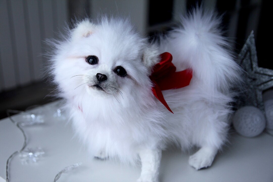 White Pomeranian Spitz Toy, White Spitz, Realistic Dog, Spitz, Fluffy ...