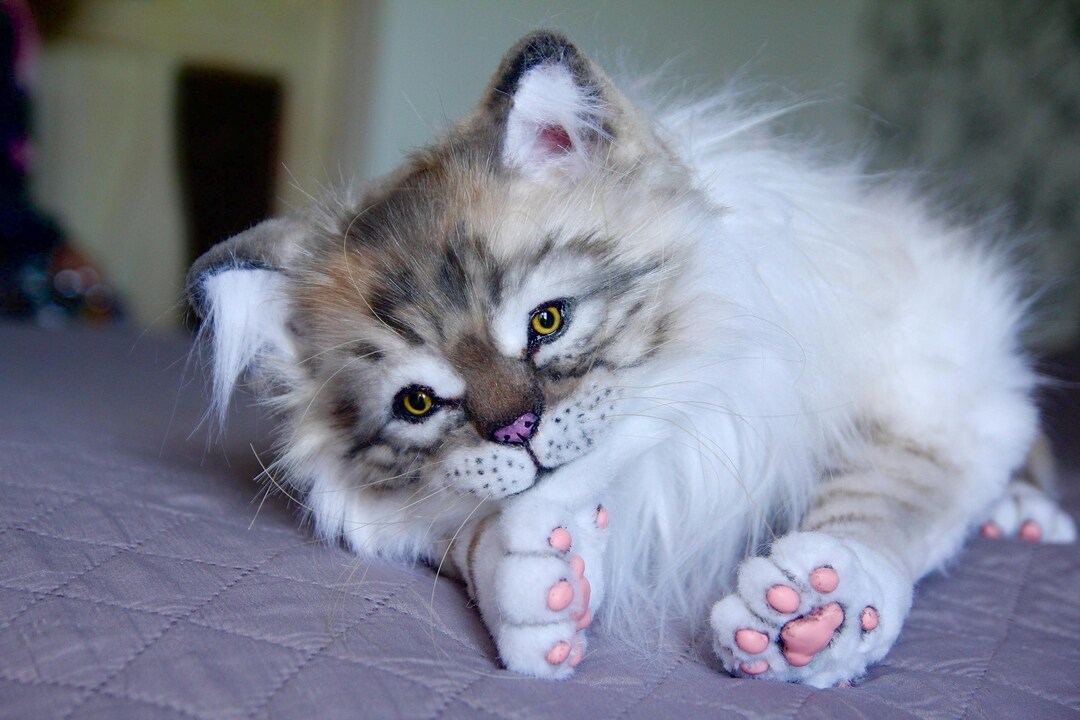 Realistic Cat Toy, British Cat, Soft Cat Toy, Kitten Toy - Etsy