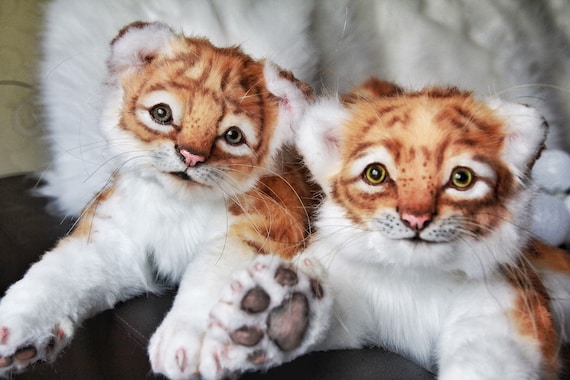 Golden Tabby Tiger Cubs