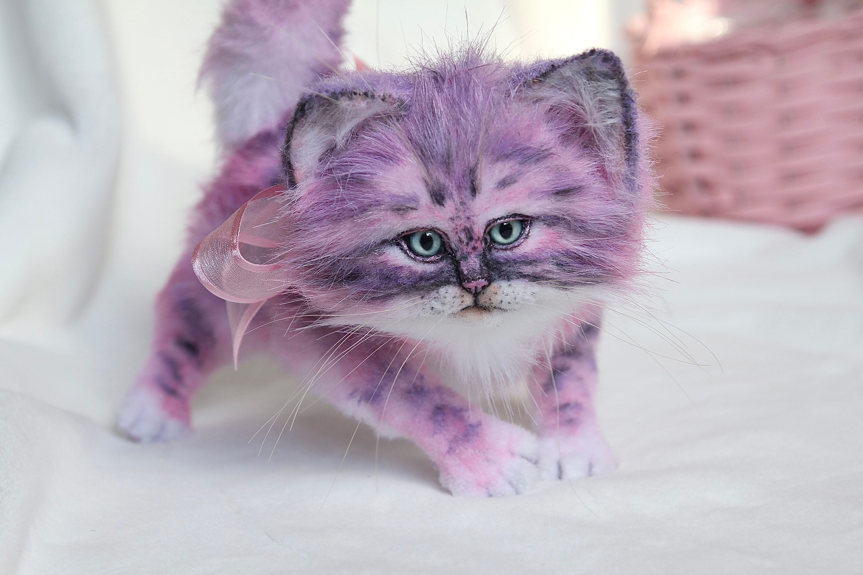 Pink Kitten Fabulous Kitten Alice in Wonderland Cheshire - Etsy